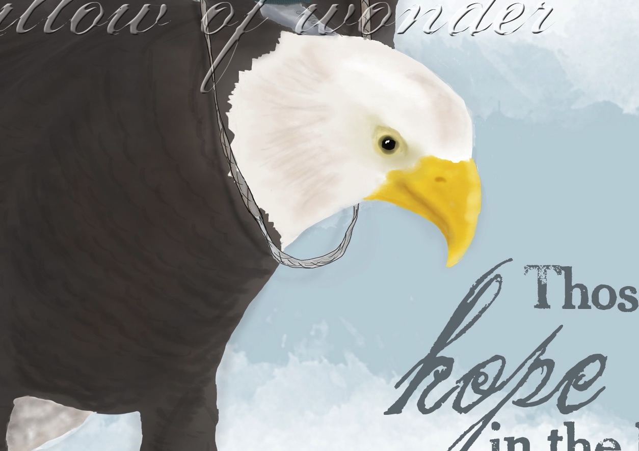 Willow of Wonder: isaiah eagle boy!