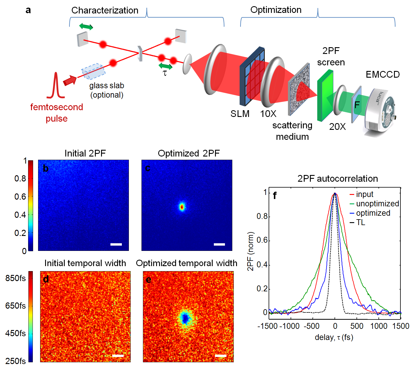 2Physics: Focusing Ultrashort Optical Pulses through Scattering Media