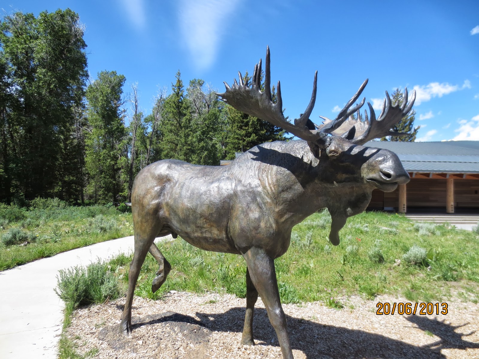 The Travelling Lindfields: This time it was definitely a moose!