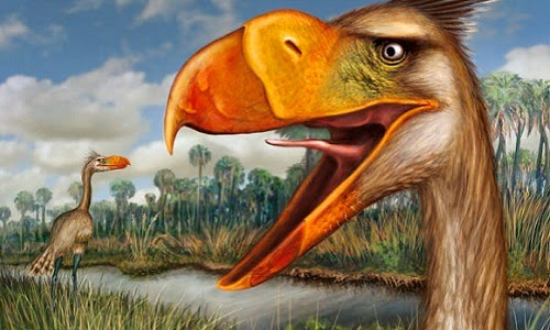 Phát hiện loài chim khủng bố đáng sợ nhất thời tiền sử - Ruby Book Origami