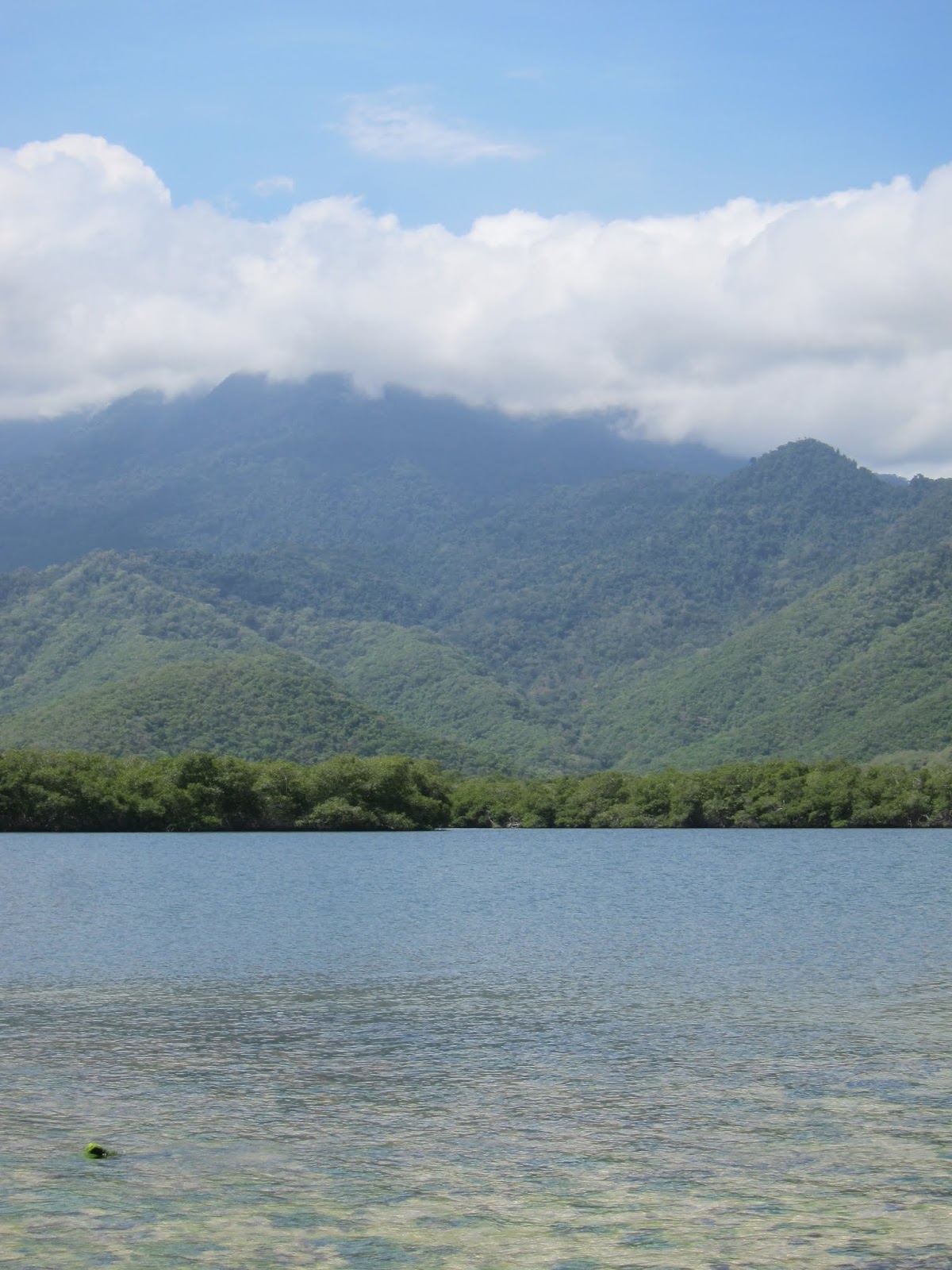 Patanemo, la felicidad del Caribe | Eco Turismo