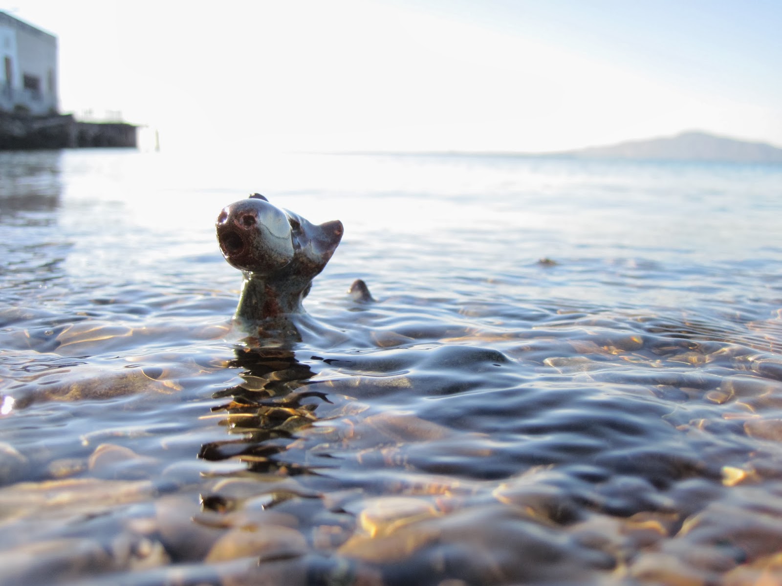 Matt Duckworth Underwater: Reindeer, Swimming