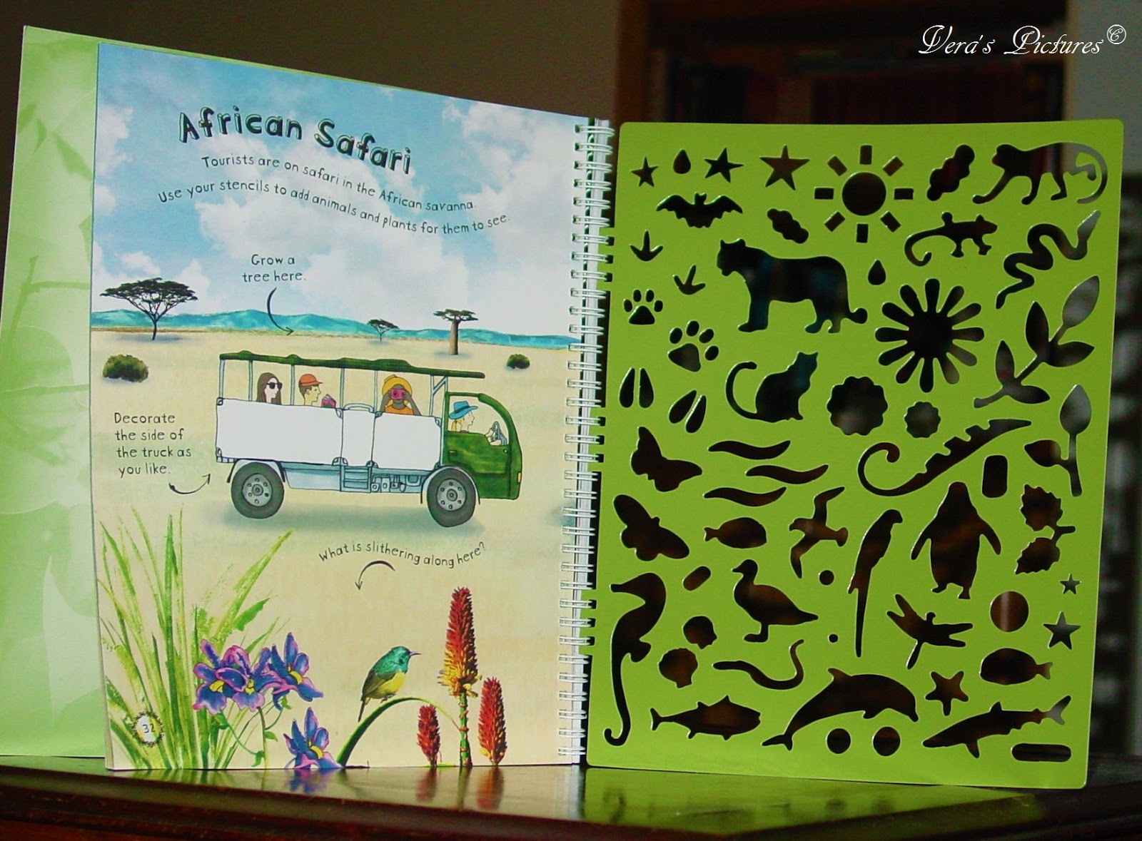 Chat with Vera: The Wildlife Adventure Creativity Book by Moira ...