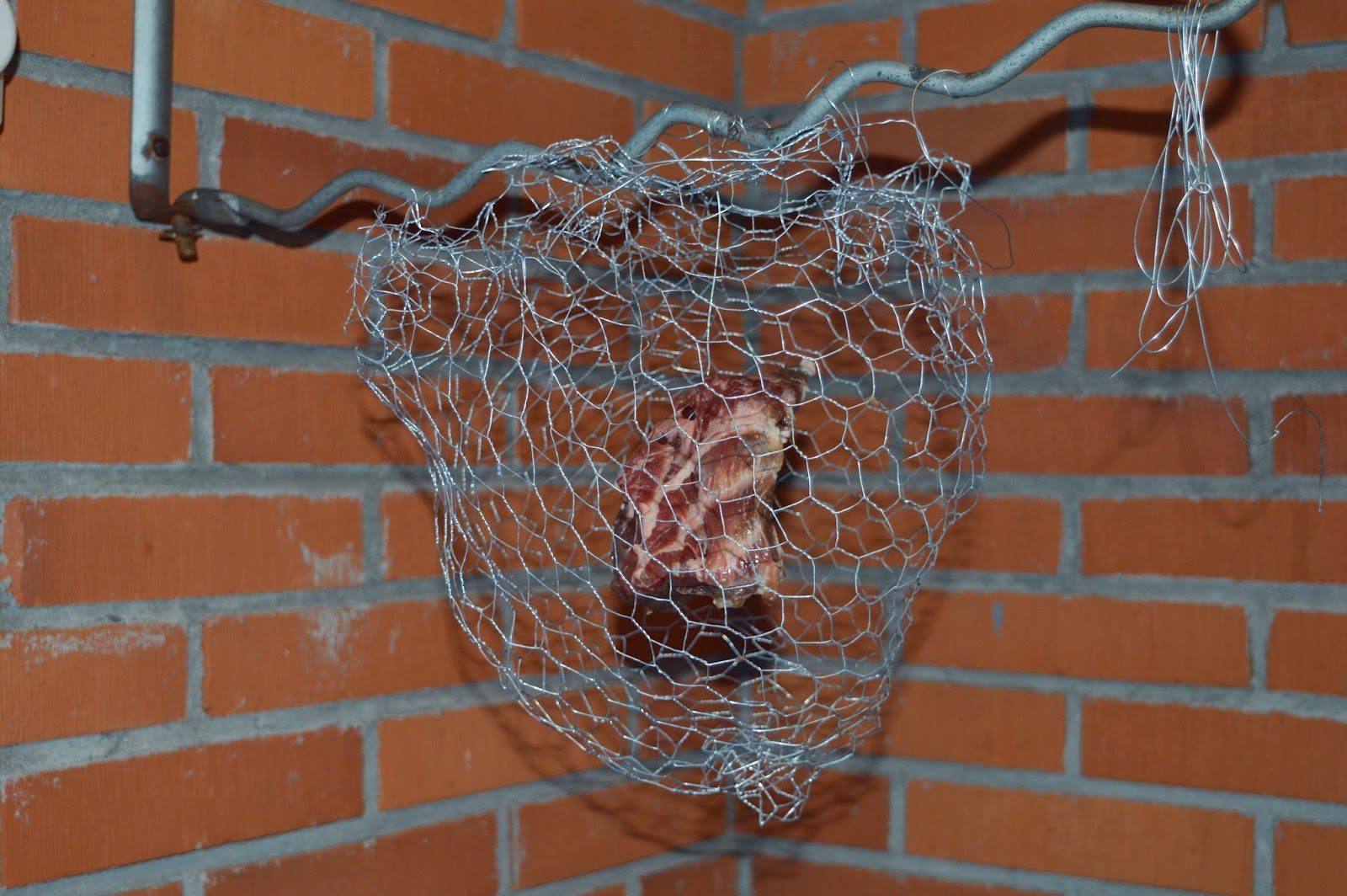 Sodankylä Geophysical Observatory: Drying cages of Tähtelä