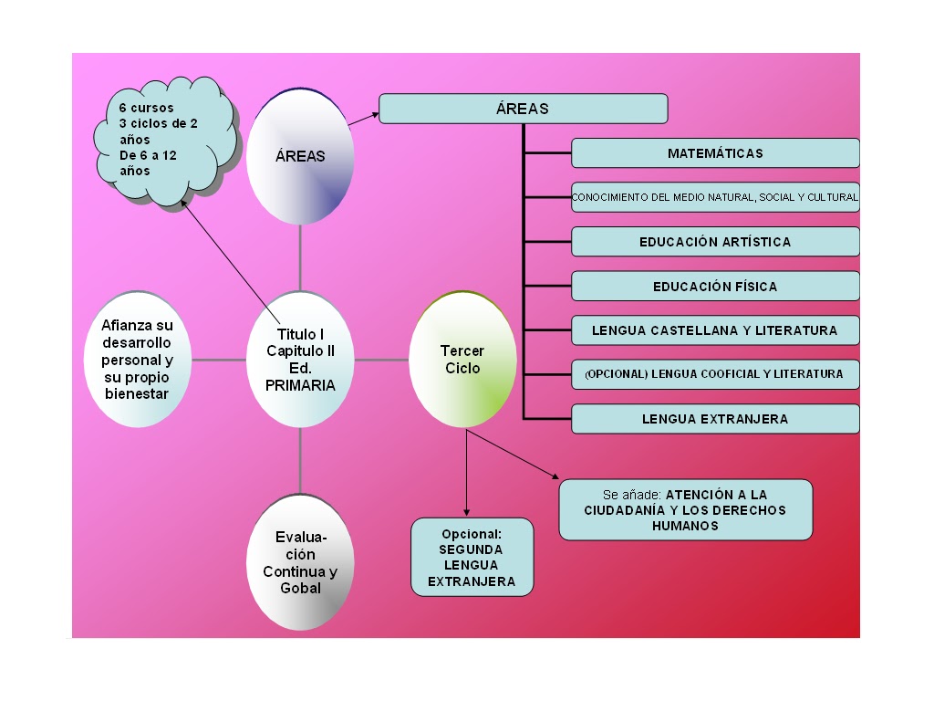 Organización y Gestión: Educación Primaria (Mapa Conceptual).