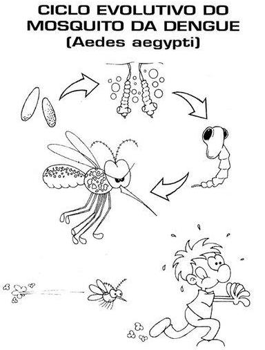 50 atividades e desenhos para colorir sobre DENGUE!-ESPAÇO EDUCAR