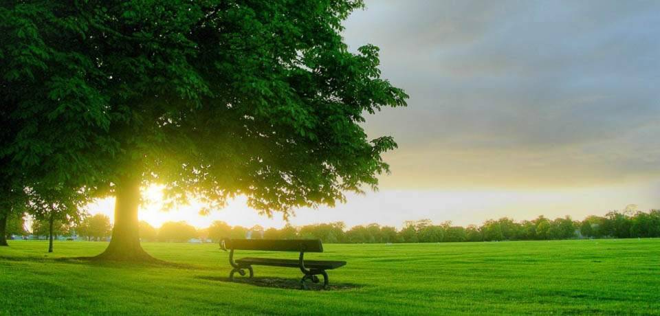 COMUNIDADE PONTE PARA A LIBERDADE: ORAÇÃO DA MANHÃ