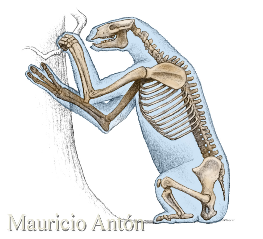 Extinct Animal of the Week: The Skeleton Game