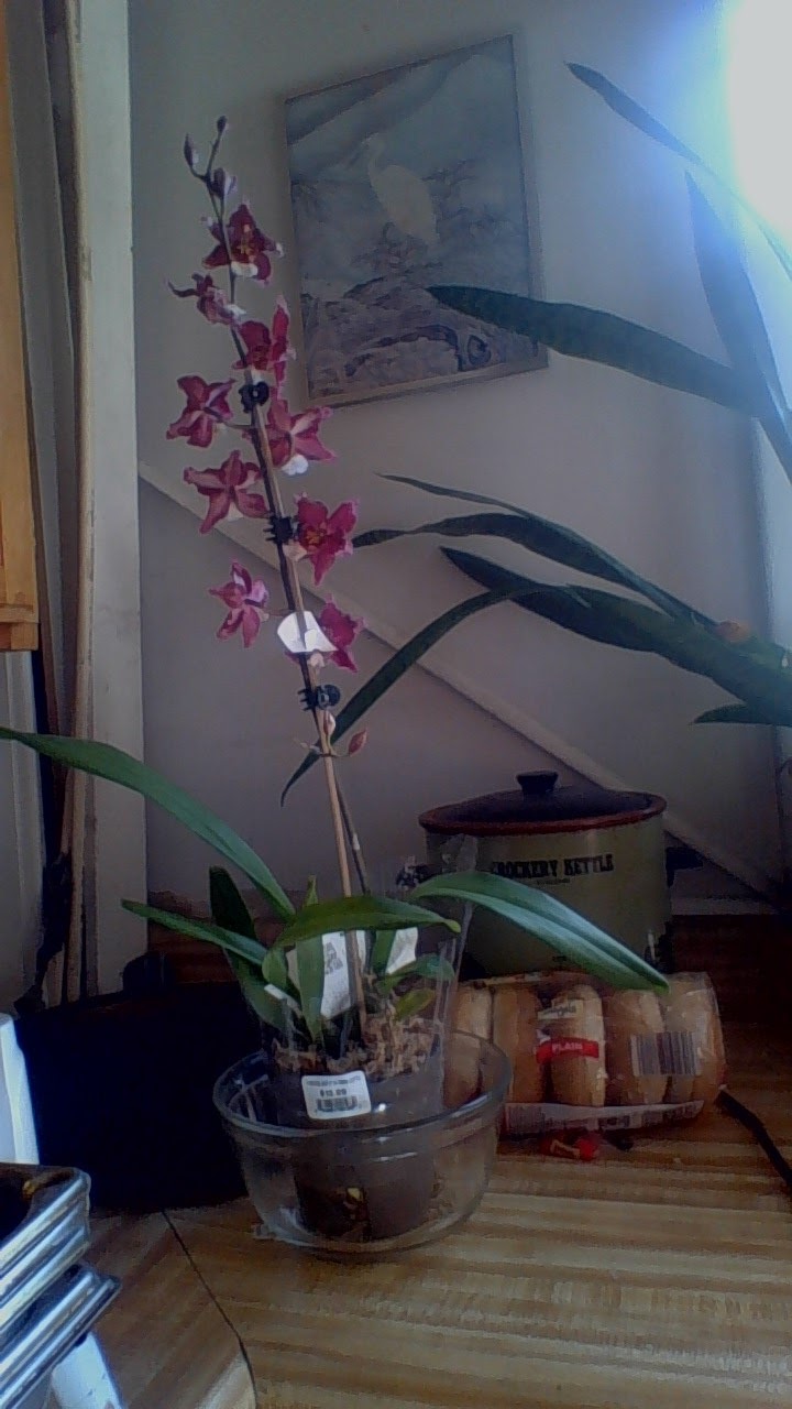 2.bp.blogspot.com on reddit.com