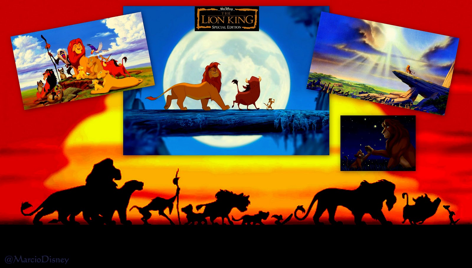 The Walt Disney World Picture of the Day: 18th Anniversary of the Lion ...