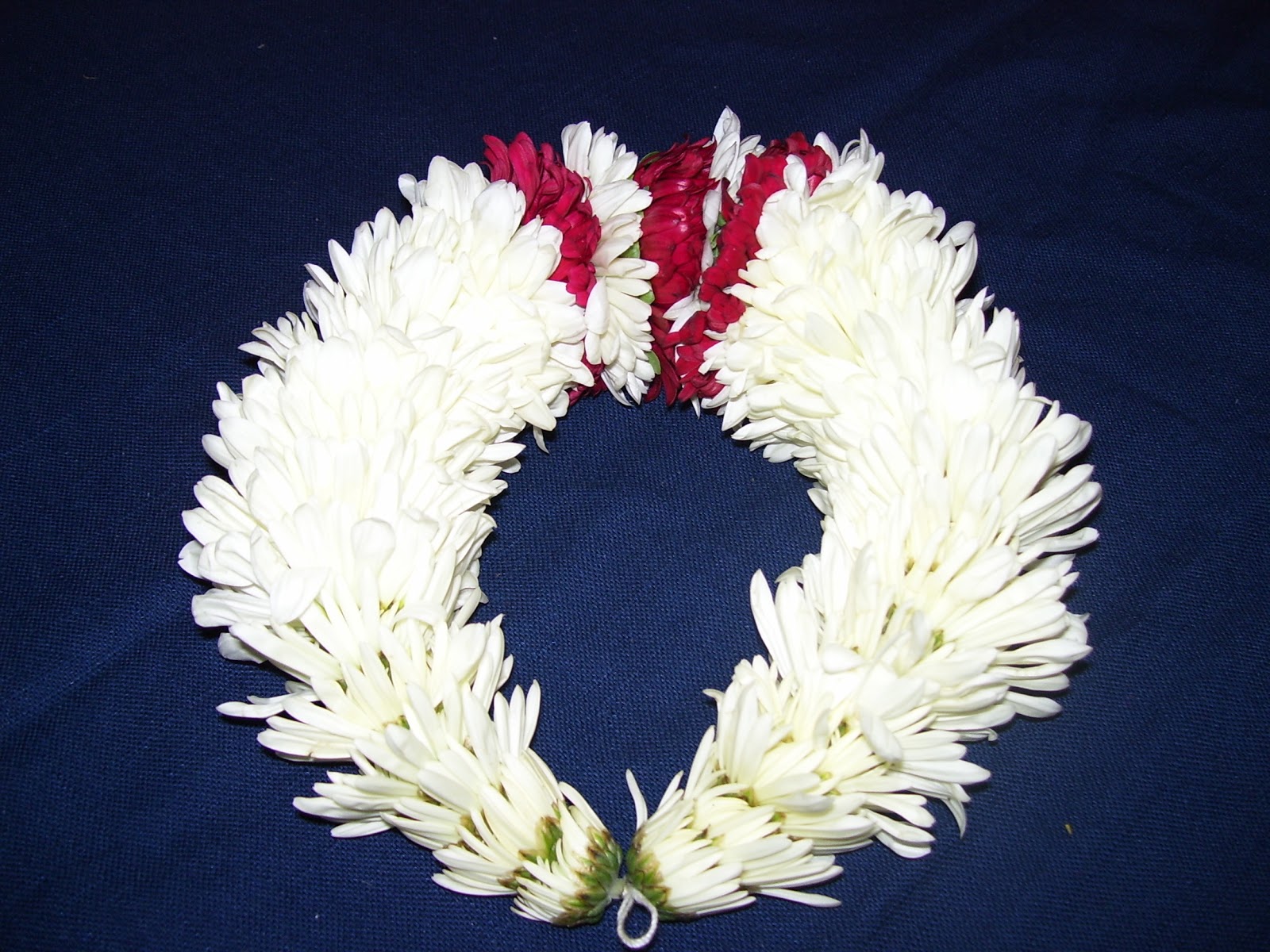 Joshpk: Latest Pakistani Gajra Designs