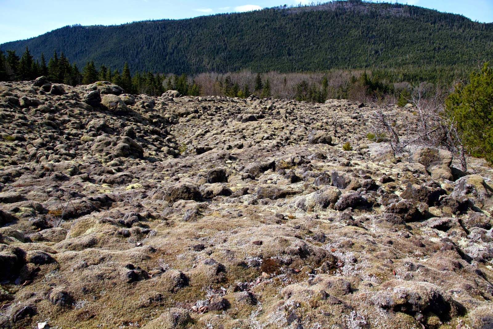 Lava Fields, Gingolx, Prince Rupert then home