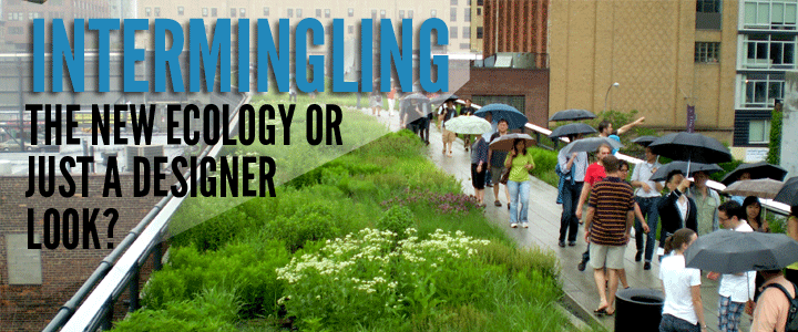 grounded design by Thomas Rainer: Intermingling and the Aesthetics of ...