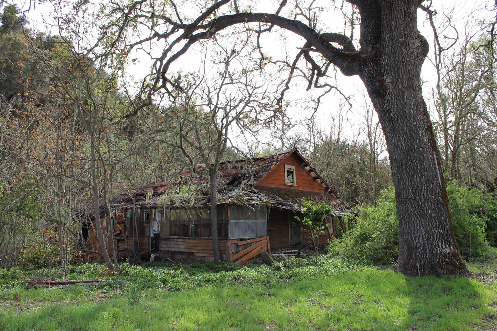 Eclectic Arcania: Picture of the Day - Klau Mine Ramshackle Shack