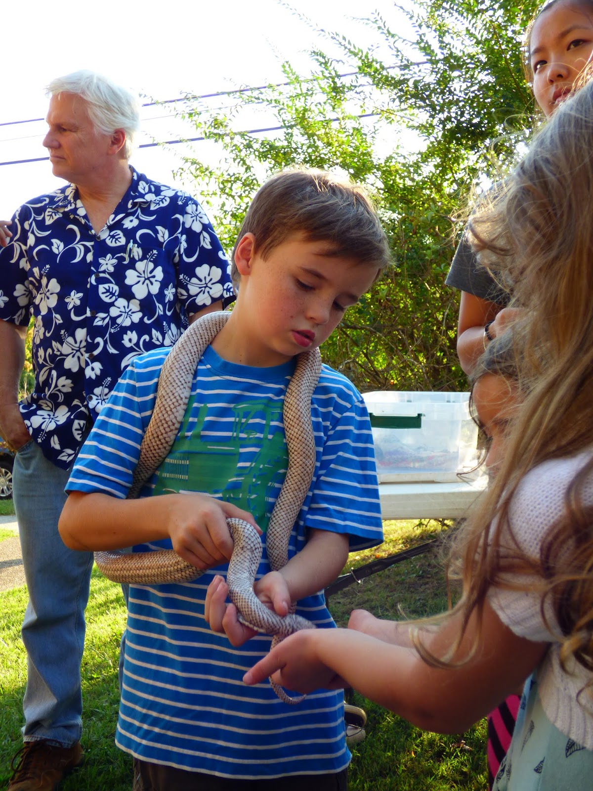 Sewanee Angel Fest: 2016