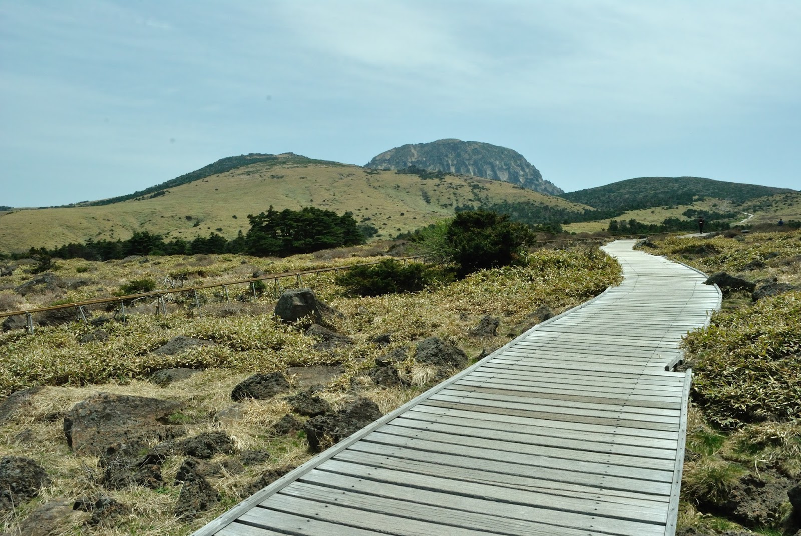 HALLASAN NATIONAL PARK, Jeju Island, South Korea: PICTURES OF JEJU ...