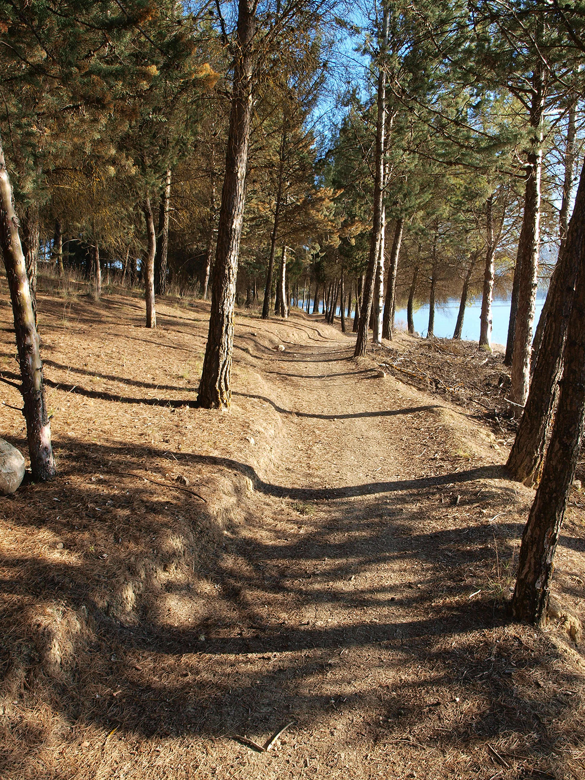 Caminando por Sierras y Calles de Andalucía: Pantano Bermejales ...