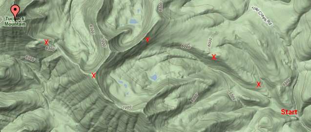 Tall Pines Hiker: Tuchuck Mountain