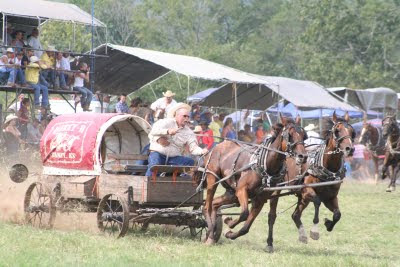 PairADice Mules: National Chuckwagon Races Classic