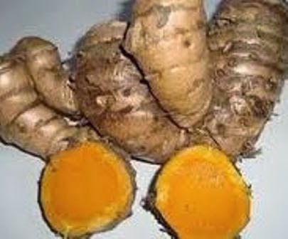 Kandungan Manfaat dan Khasiat Temulawak Bagi Kesehatan | PermenKopi