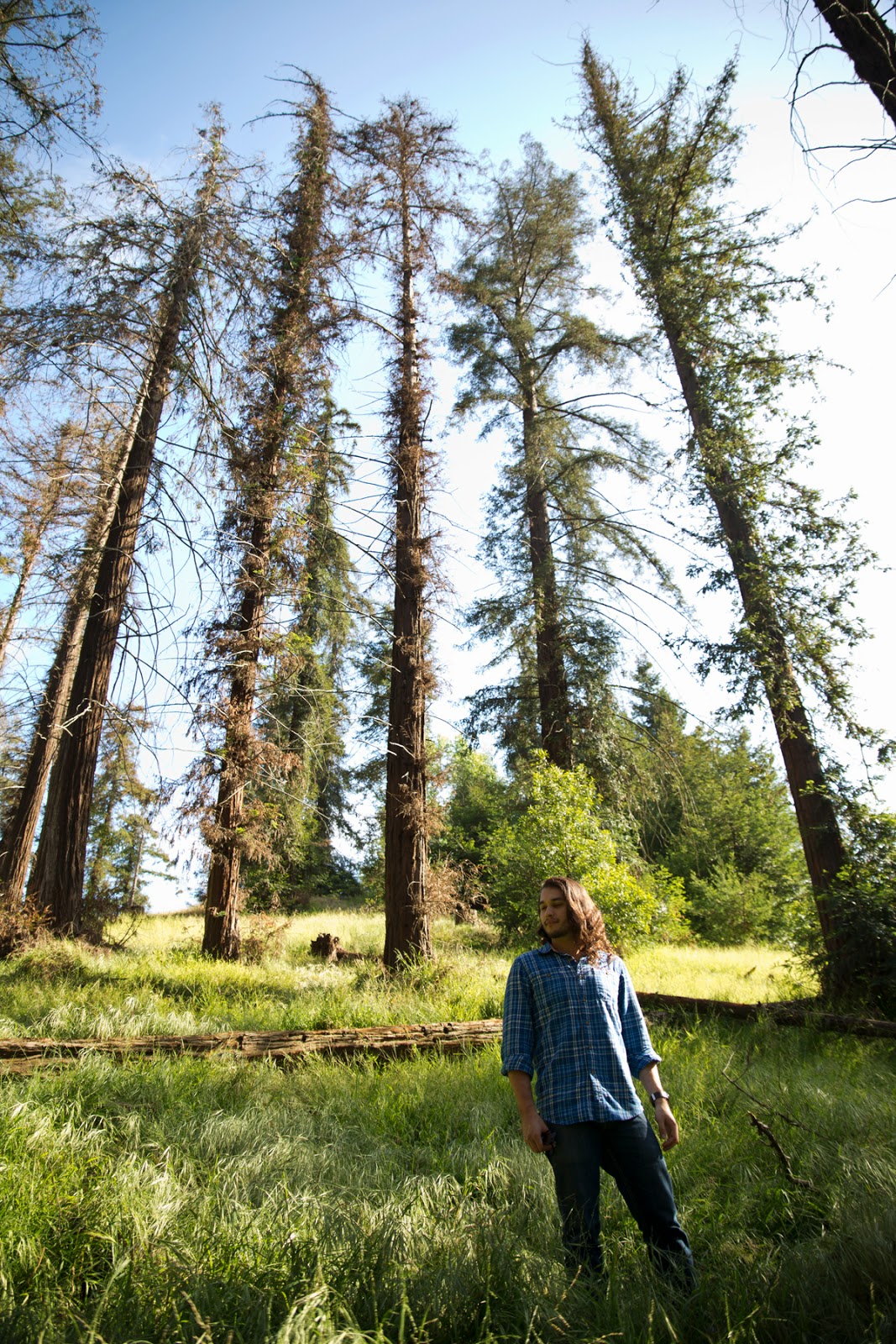 The Adventures of Ana : 112/365 - "Green Day" featuring Haylie Calvert