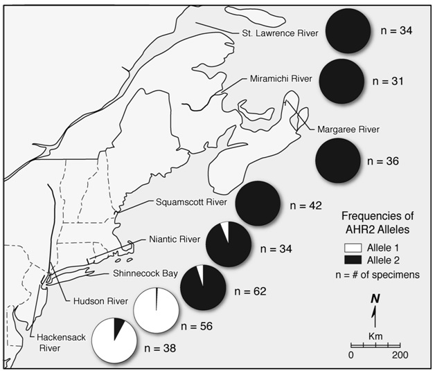 Molecular Evolution Forum: Rapid Evolution of Resistance to Toxic ...