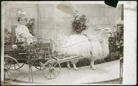 Today's Treasure by Jen: Antique Goat Cart Yesterday & Today