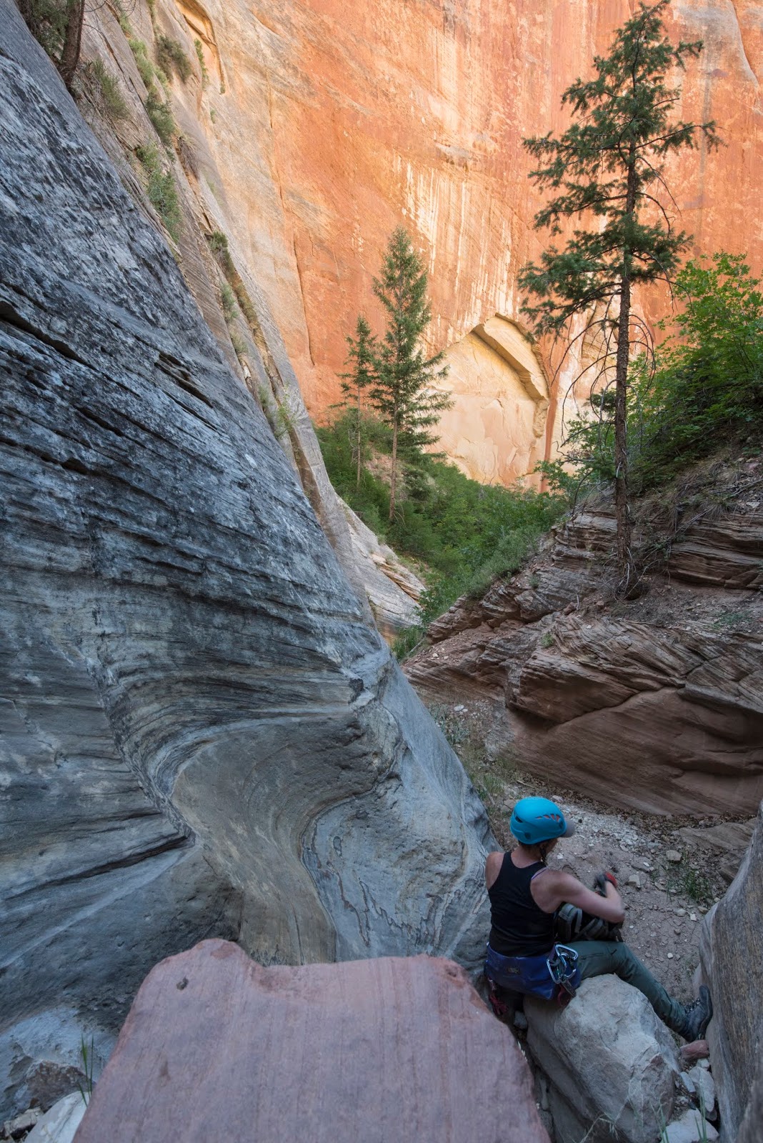 CHECKERBOARD CANYON 3BIV. ZION NATIONAL PARK - ADAM HAYDOCK