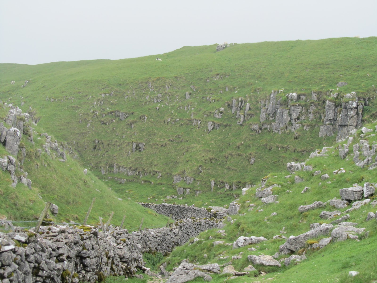 Little Sealed Packages: Limestone dry valley