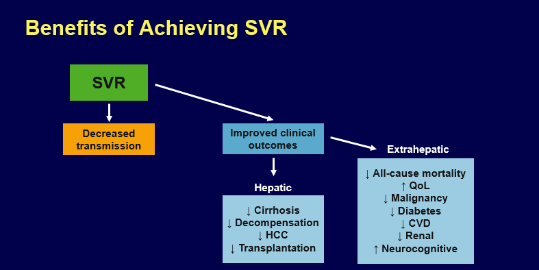 Management of Patients With HCV Who Have Achieved SVR - With ...
