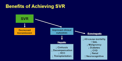Management of Patients With HCV Who Have Achieved SVR - With ...