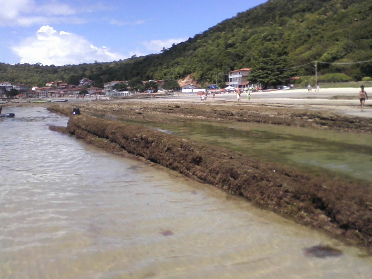 Desperta!!! Pra Terra viver.: O mar de Paramana