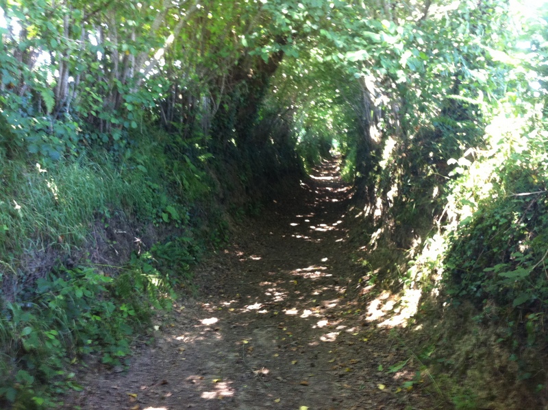 Brushes and Bayonets...: Stanislaw Maczek - Part 6 - Normandy, The Caen ...