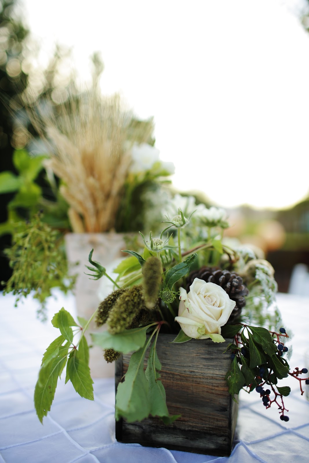 bloomers flowers & decor: { elizabeth + taylor | fall elegance }