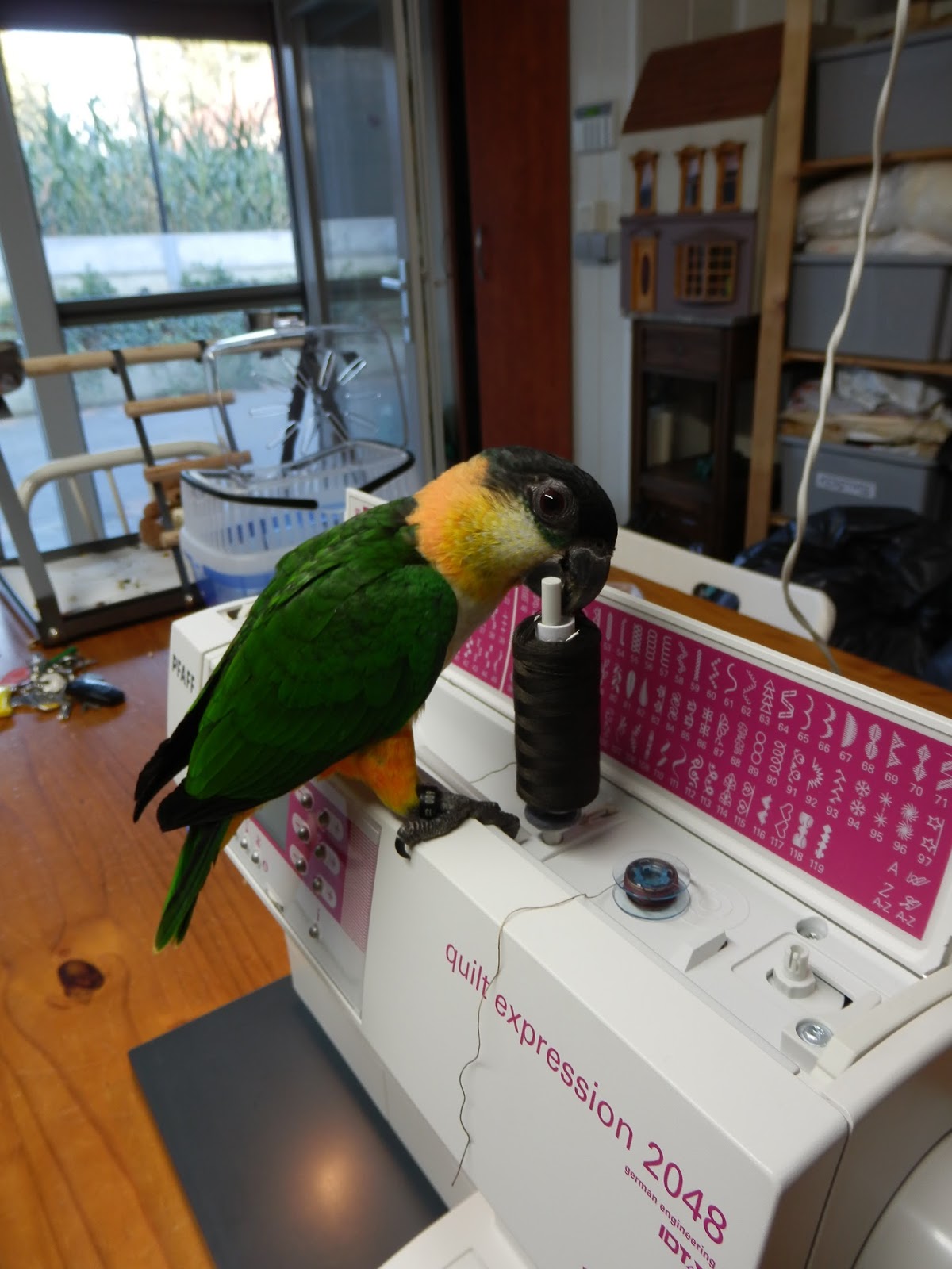 Ann's Home Sweet Home: Broeken stikken