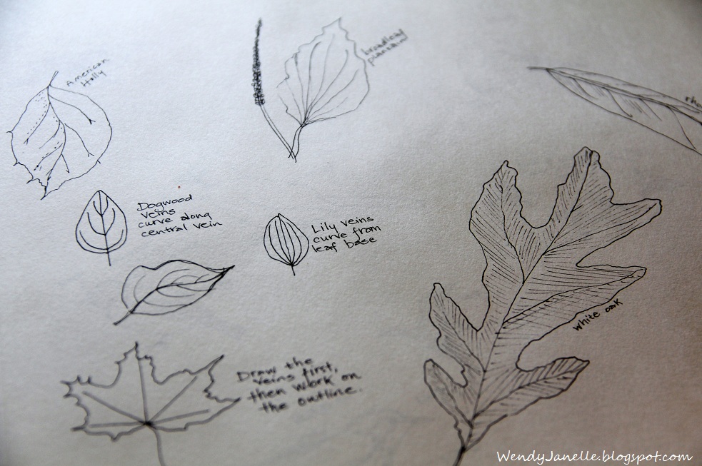 Living Creatively: 10 Ways to Vary Your Nature Journal Layouts