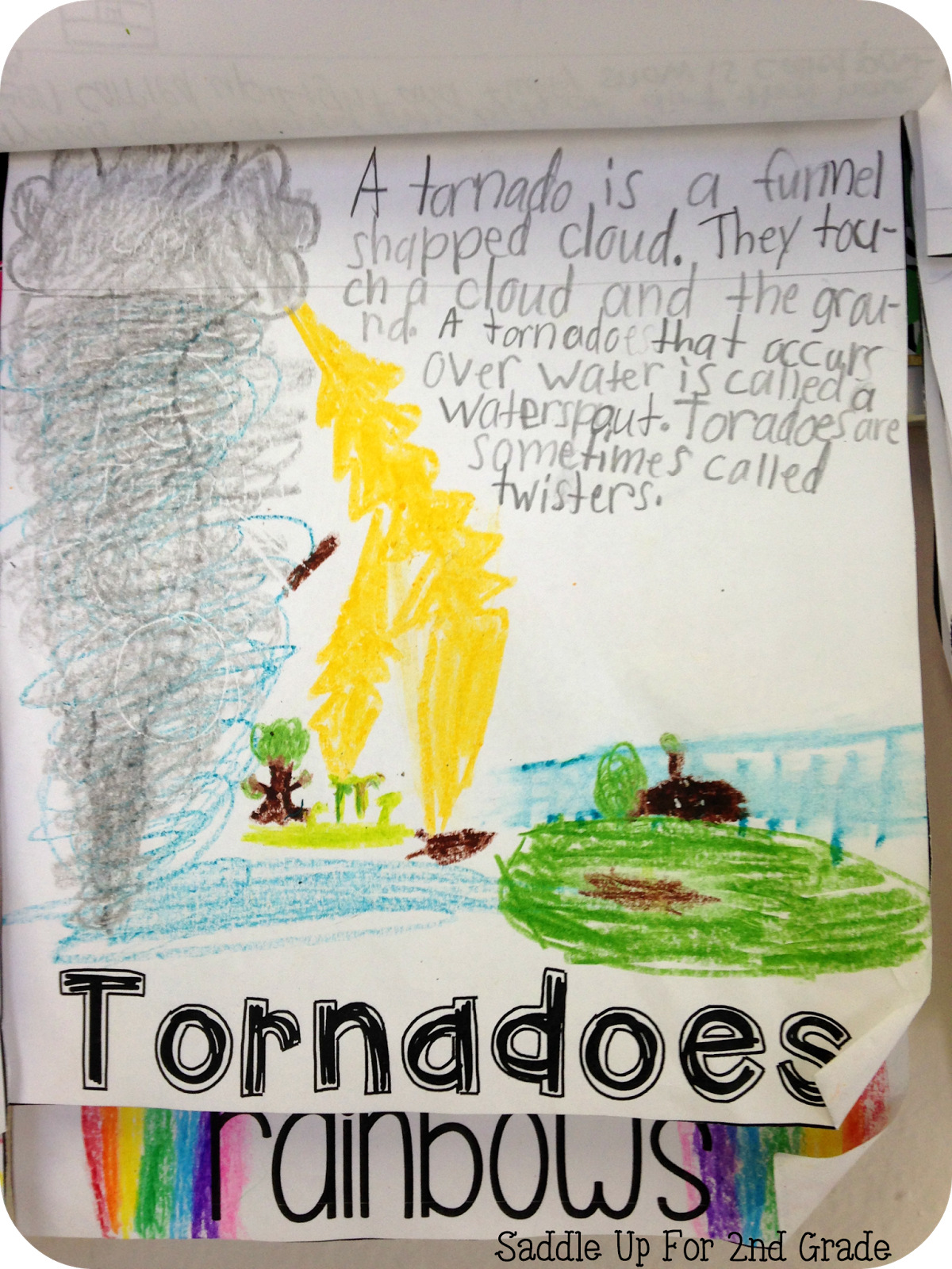 All About Weather - Saddle Up for 2nd Grade