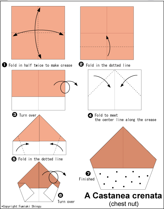 Chestnut - Easy Origami instructions For Kids