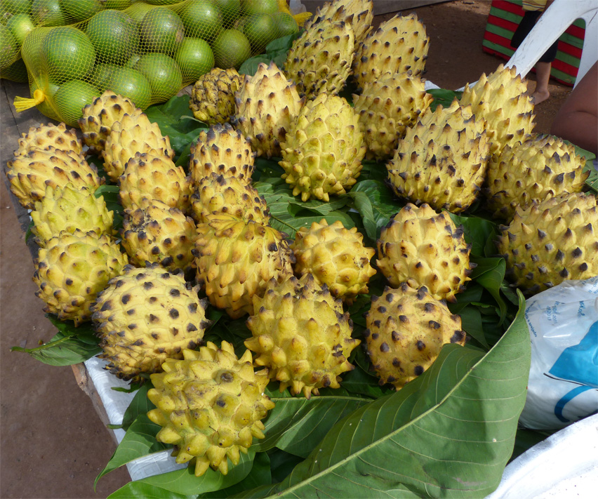 FRUTAS NATIVAS DA AMAZÔNIA: FRUTOS NATIVOS DA AMAZÔNIA COMERCIALIZADOS ...