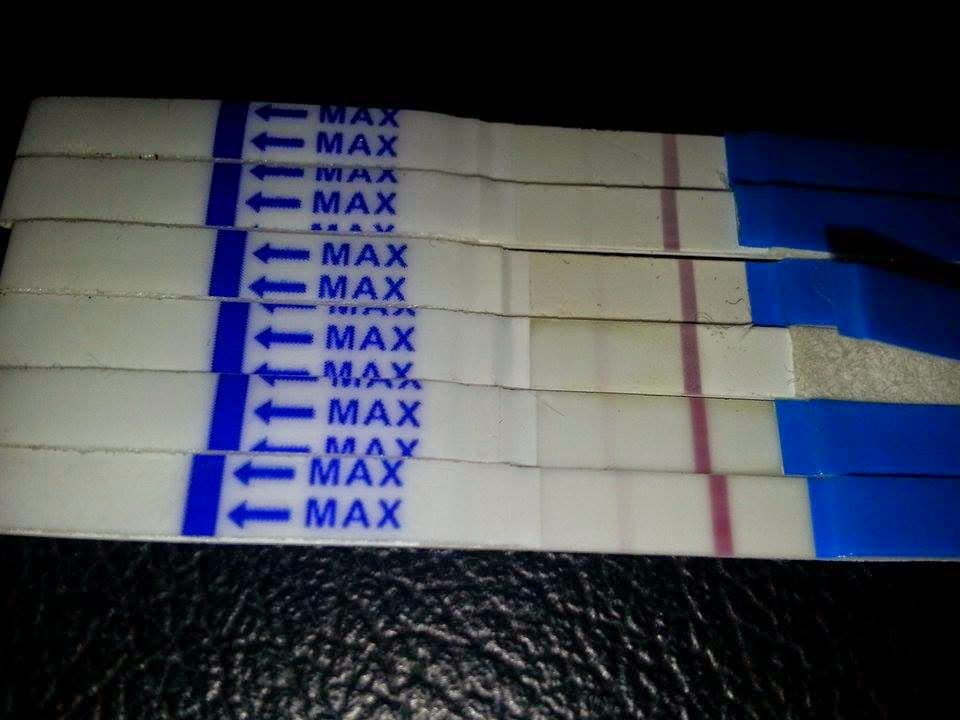 PREGNANCY TEST (UPT) MURAH GALLERY | Ovulation test kit (opk ...