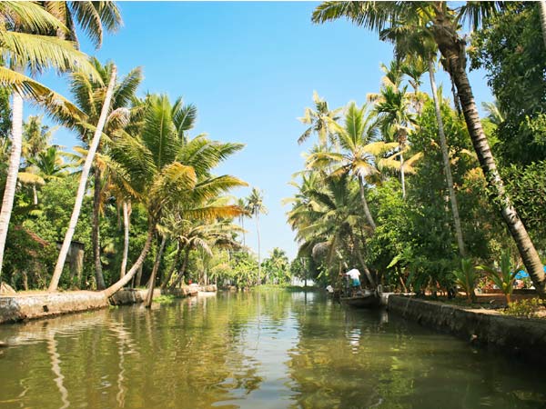 amazing cochin / kochi : Backwaters of Kochi