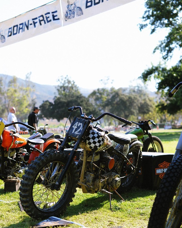 dWrenched - Kustom Kulture and Crazy Bikes: EVENT - BORN FREE 9