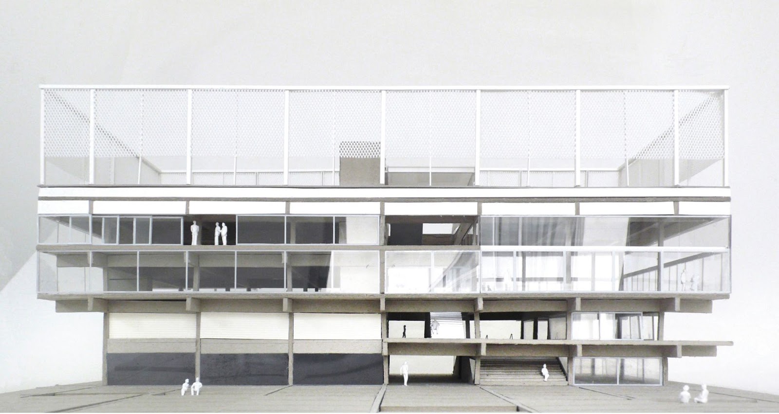 Muoto – a f a s i a