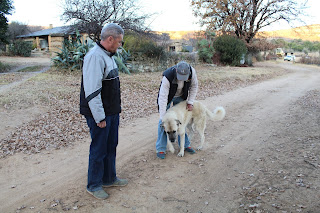 The Agri Handbook Blog: Rustler's Valley: view from a neighbour