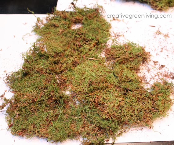 How to Make a Moss Covered Monogram | Creative Green Living