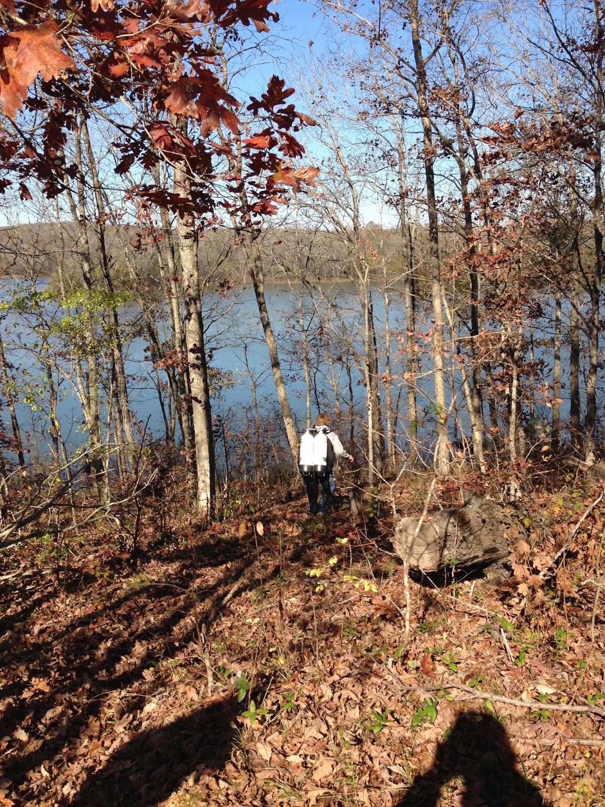 CANNONBALL CAVE SPRING RESURGENCE - ADAM HAYDOCK
