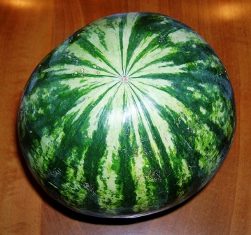 A Simple Explanation of Absolutely Everything: Toroidal Patterns in Fruit