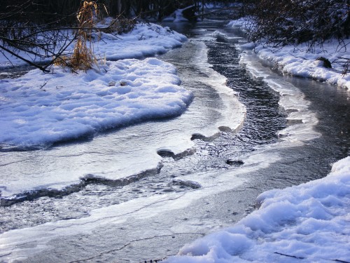 GEOGRAFILIA: Dilemă la râu (problemă de geografie)