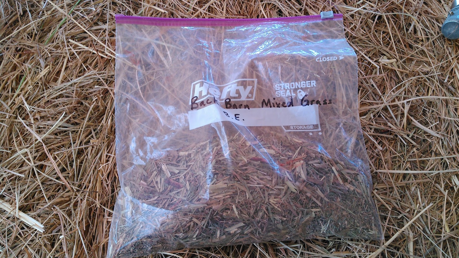 Paradigm Farms Horse Retirement: Taking a Hay Sample (Part 1)
