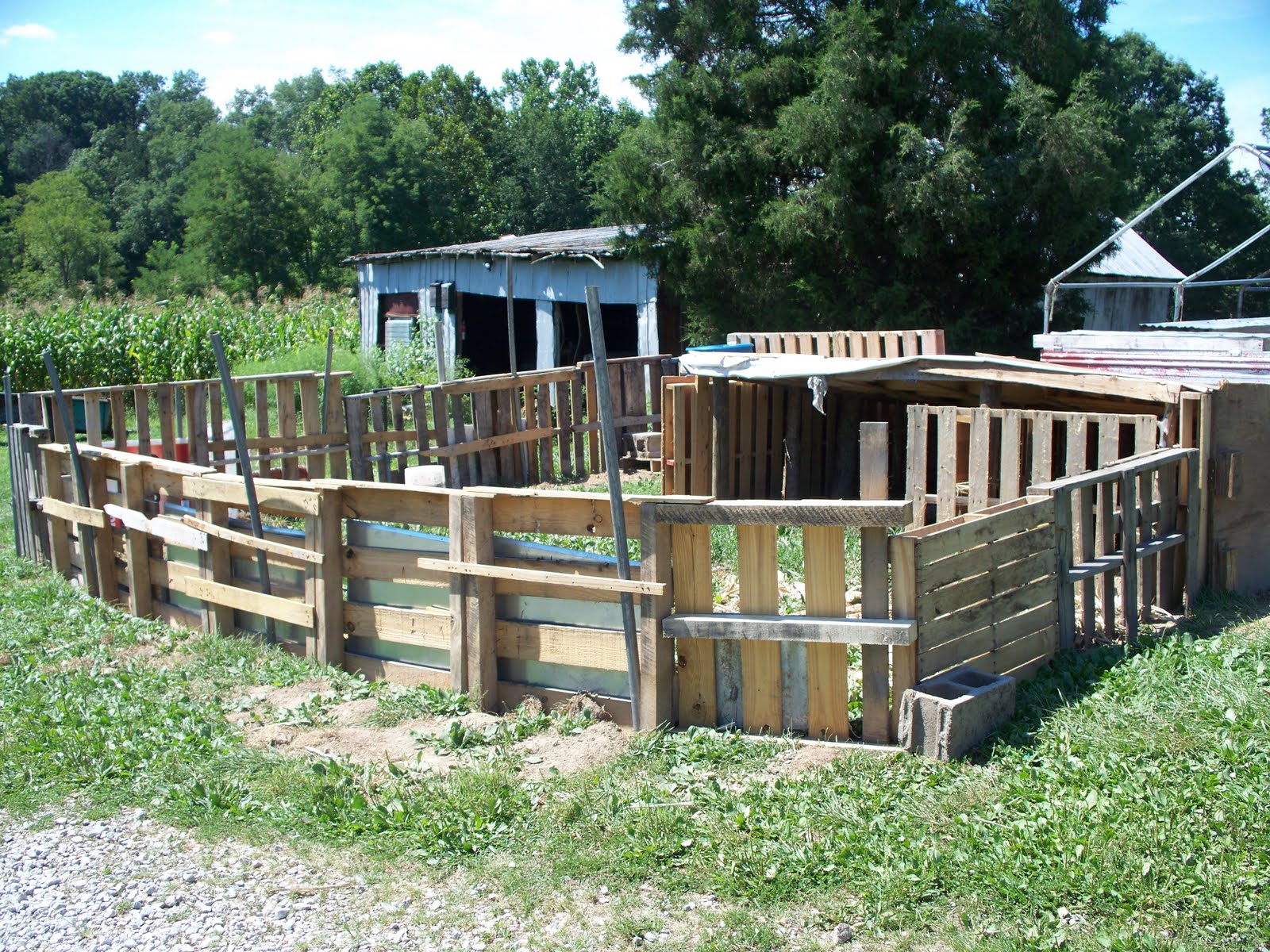 Bishop's Homegrown Produce/Face Of The Earth Seed: A Hog Shed Update ...